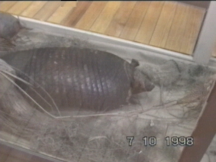 Brasilienreise 1998 / Stadtmuseum