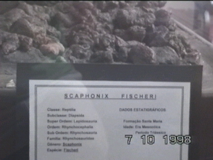 Brasilienreise 1998 / Stadtmuseum