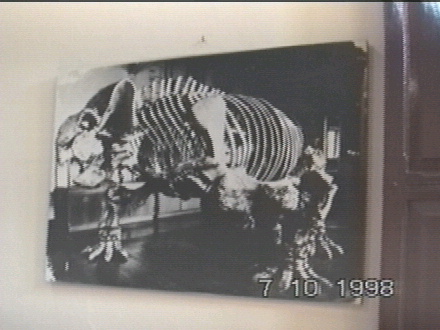 Brasilienreise 1998 / Stadtmuseum